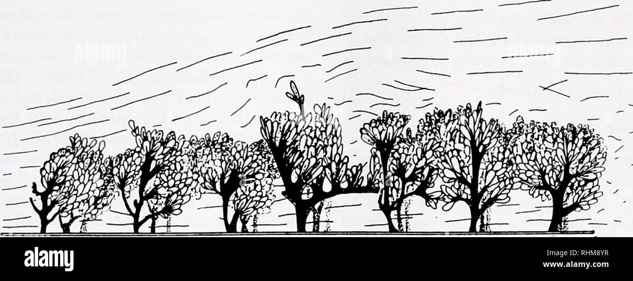 Induced drag hi-res stock photography and images - Alamy