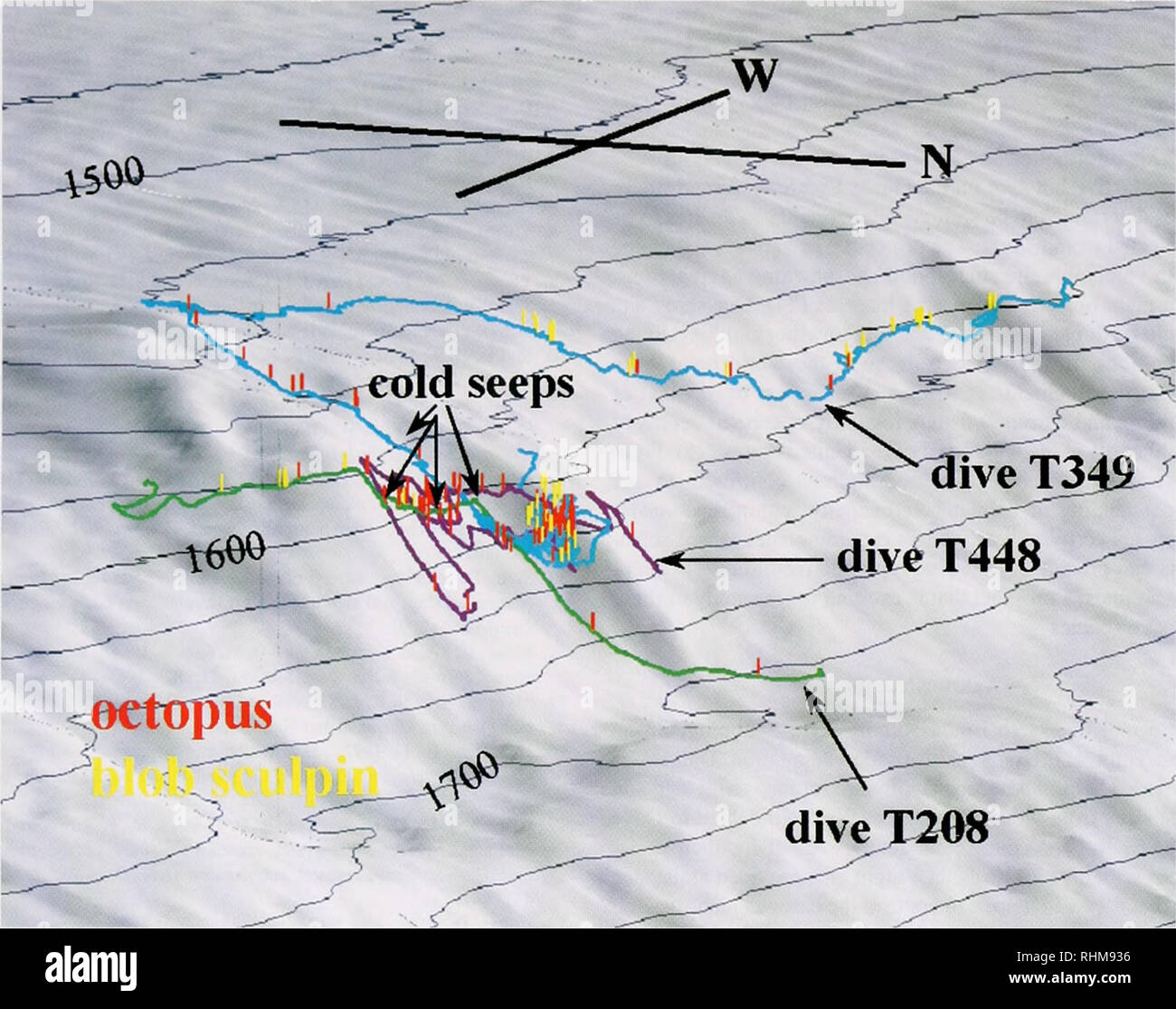 . The Biological bulletin. Biology; Zoology; Biology; Marine Biology ...