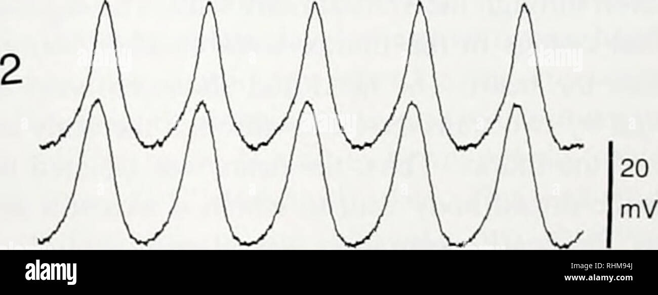 Hearts electrical activity hi-res stock photography and images - Alamy