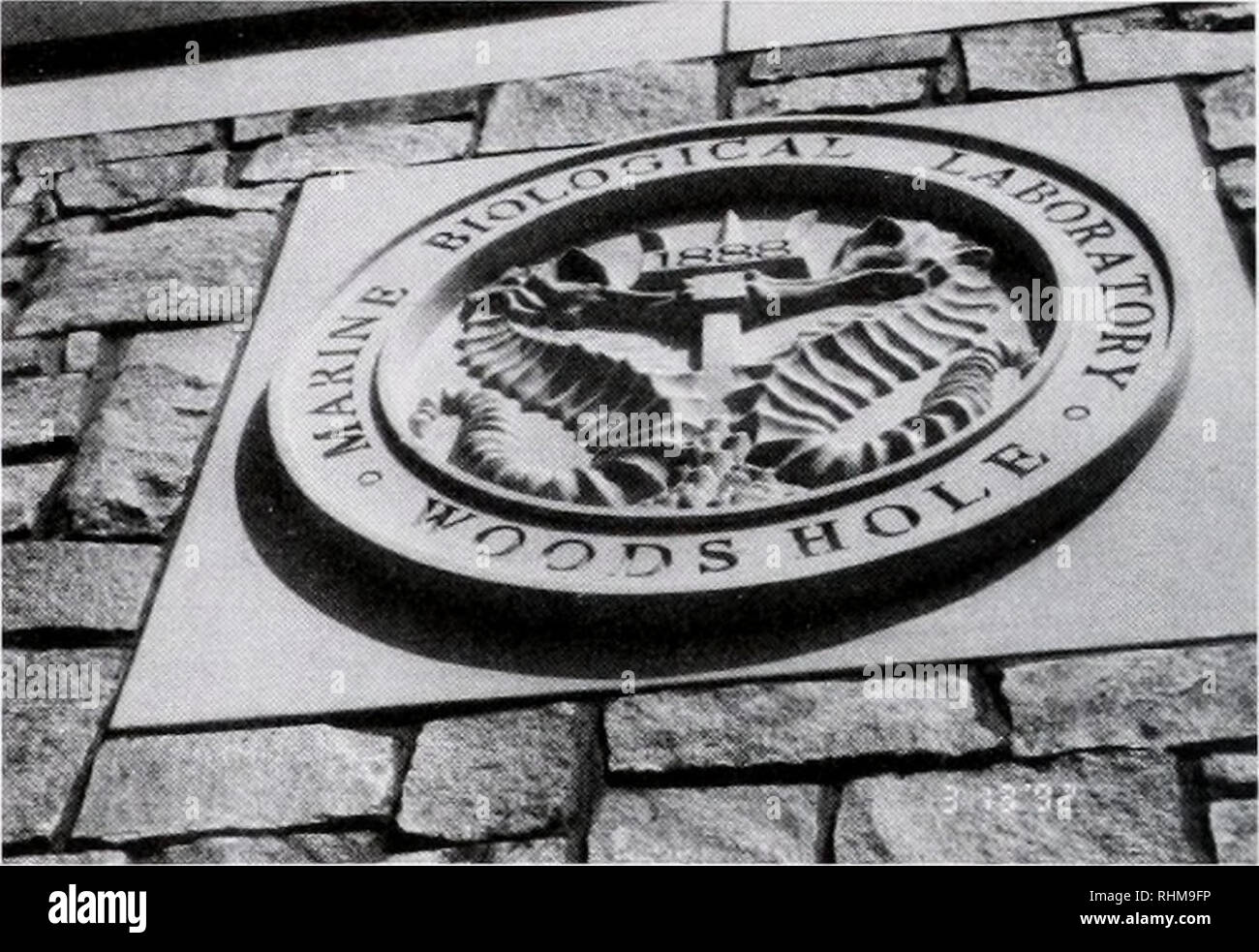 William joslin hi-res stock photography and images - Alamy