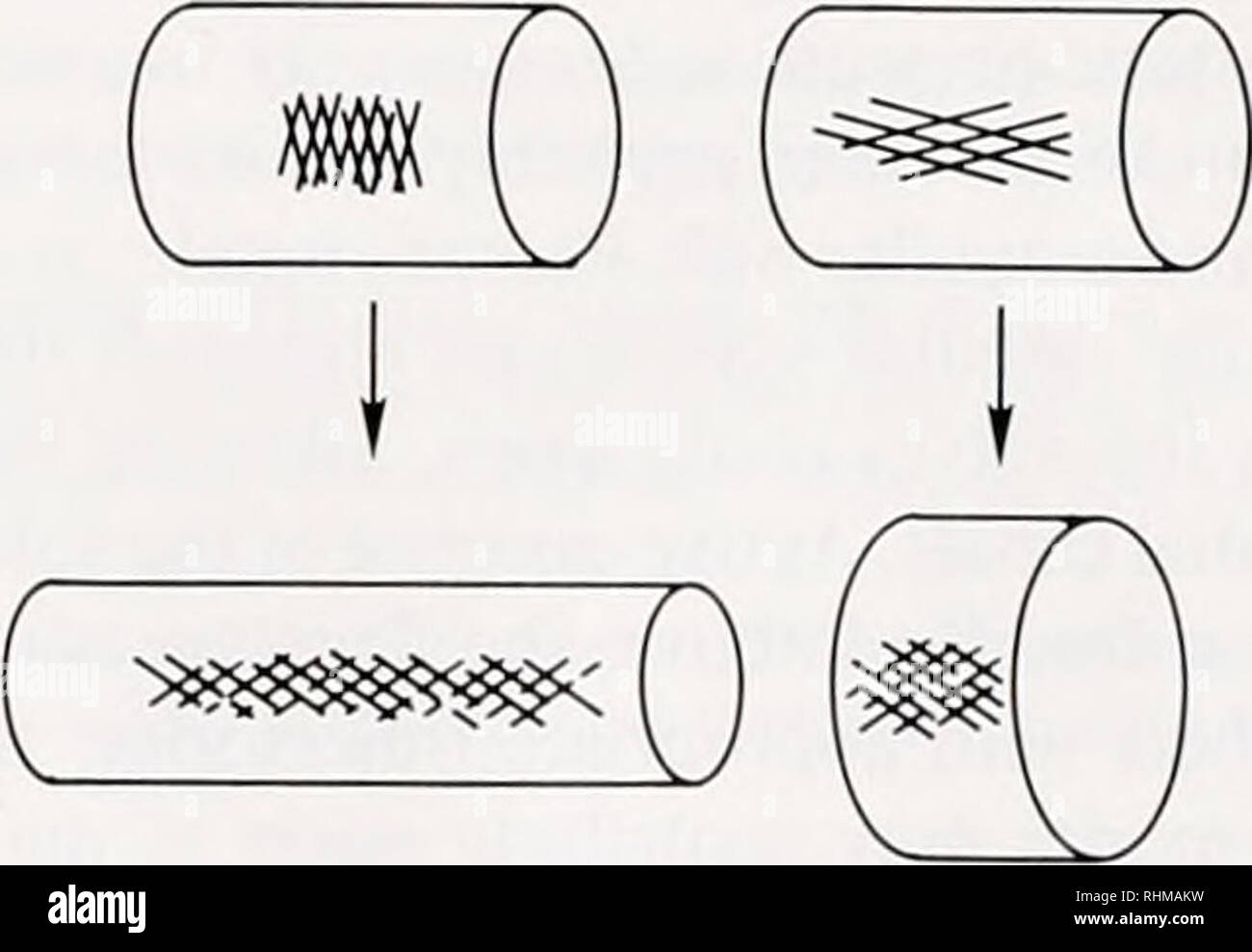 Helical Wrapped High Resolution Stock Photography and Images - Alamy