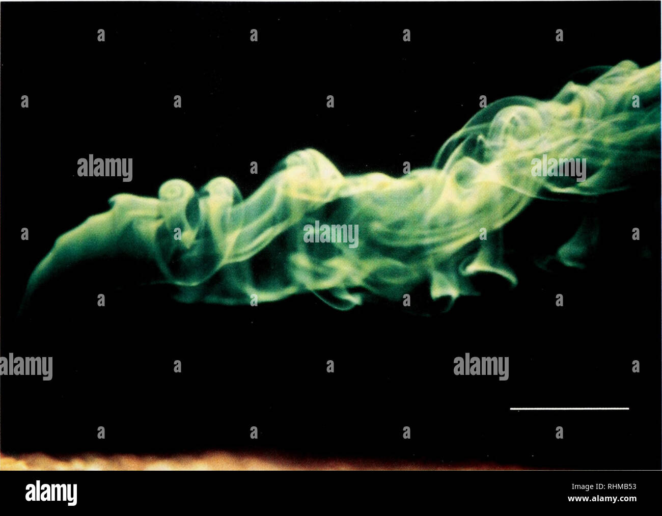 . The Biological bulletin. Biology; Zoology; Biology; Marine Biology ...