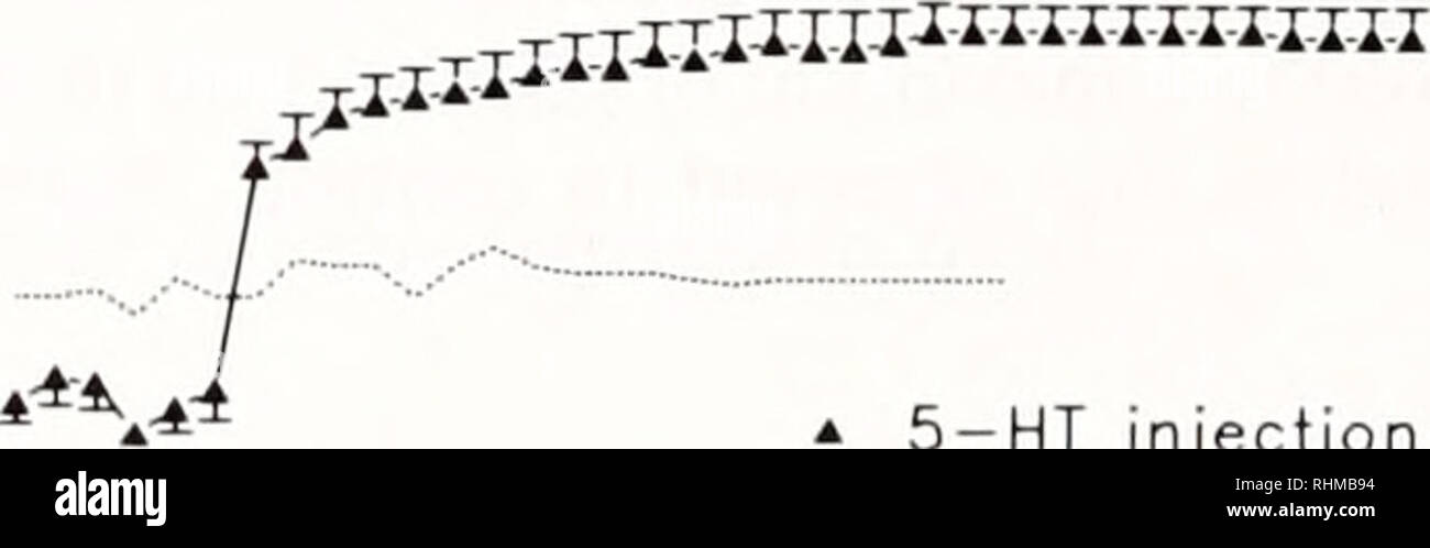 Main ht panel hi-res stock photography and images - Alamy