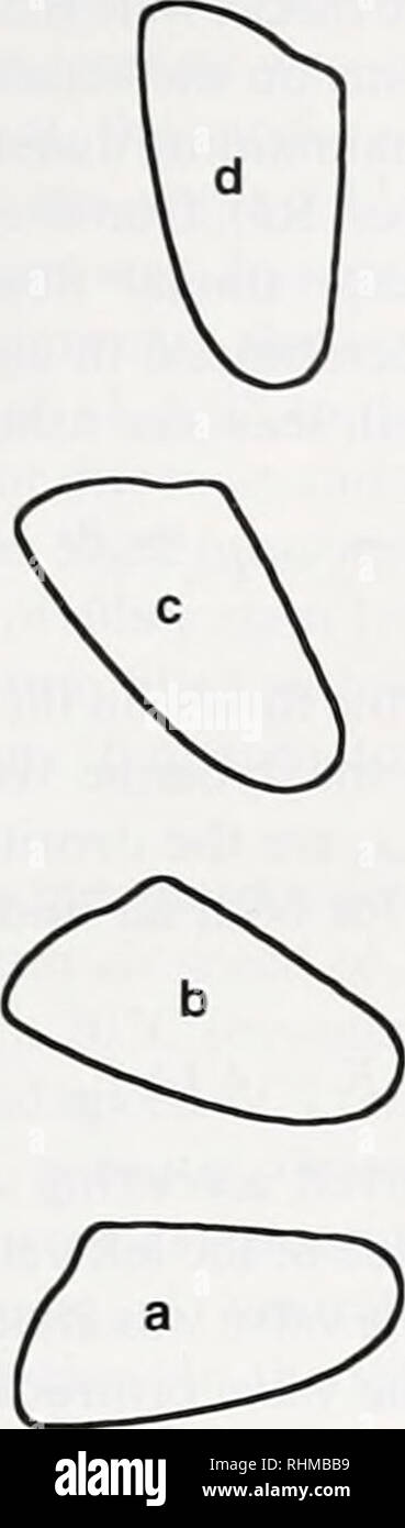 . The Biological bulletin. Biology; Zoology; Biology; Marine Biology ...