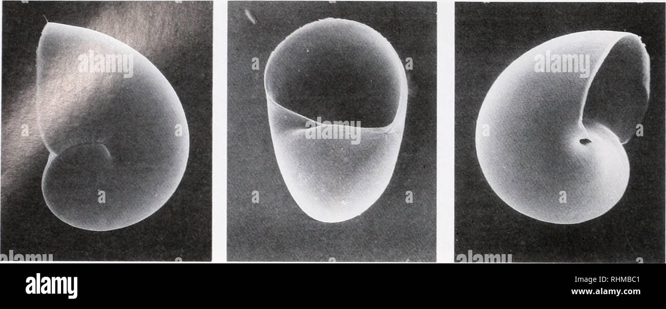 . The Biological bulletin. Biology; Zoology; Biology; Marine Biology ...