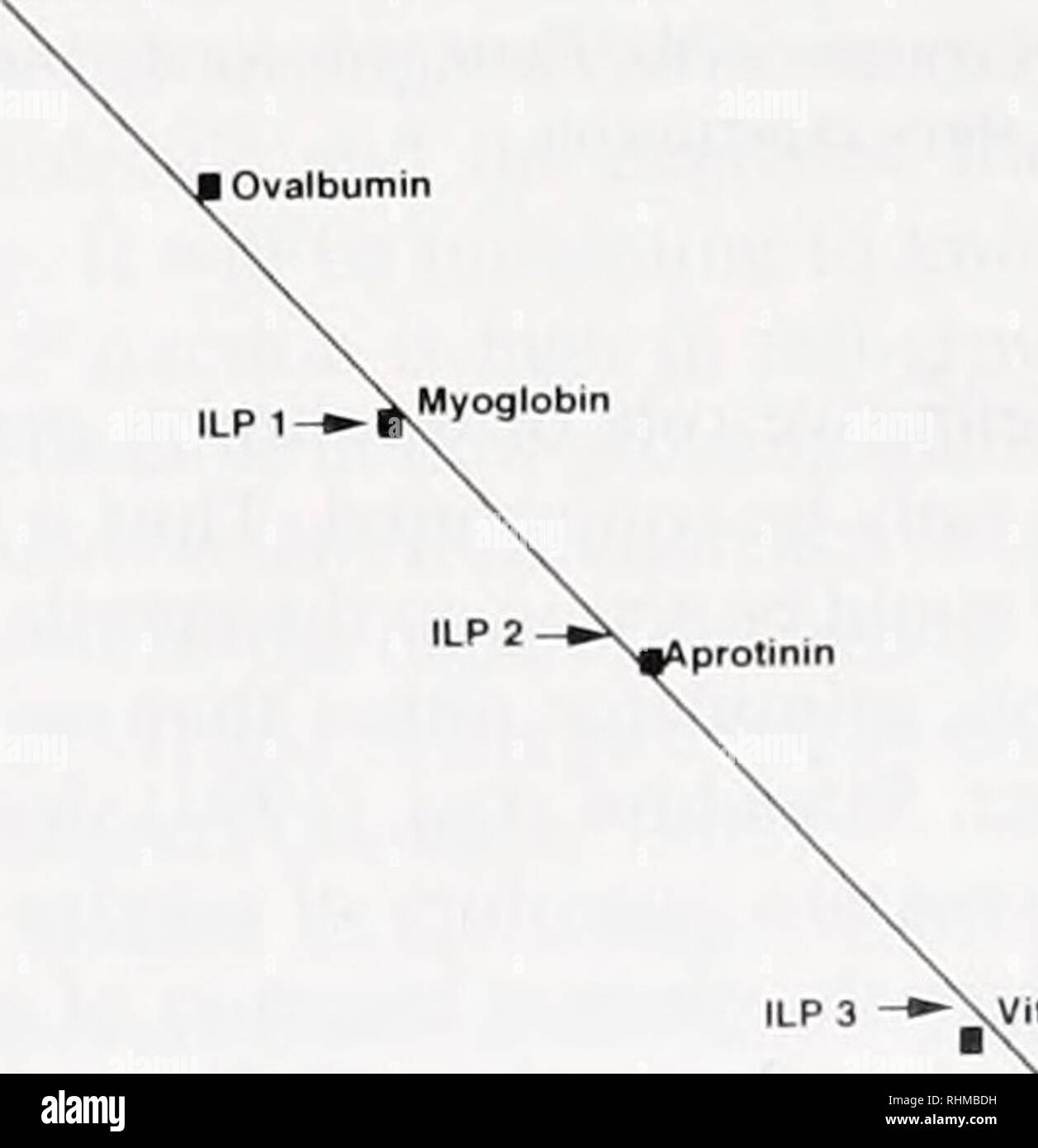 . The Biological bulletin. Biology; Zoology; Biology; Marine Biology ...