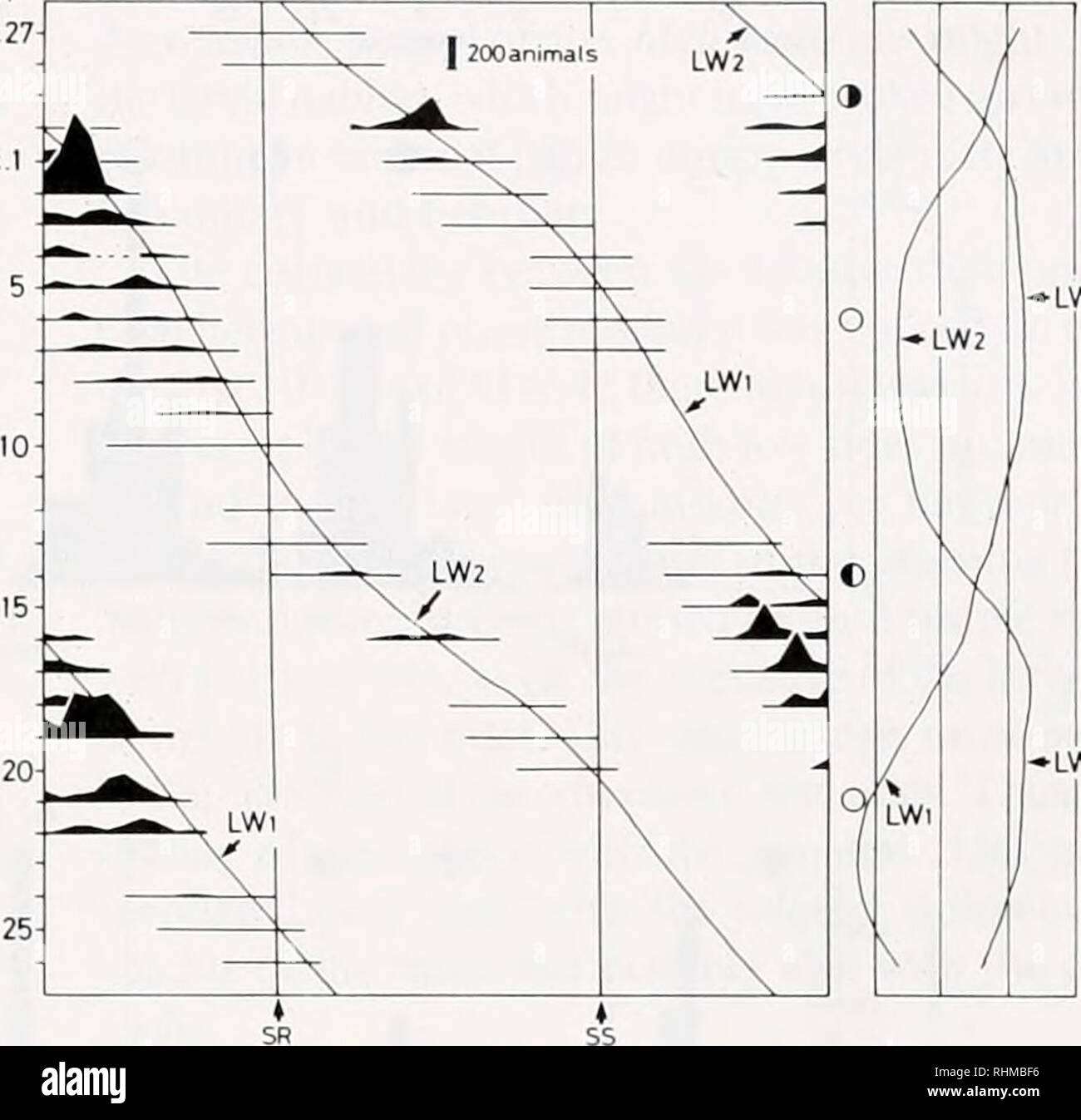 Timing scales hi-res stock photography and images - Alamy