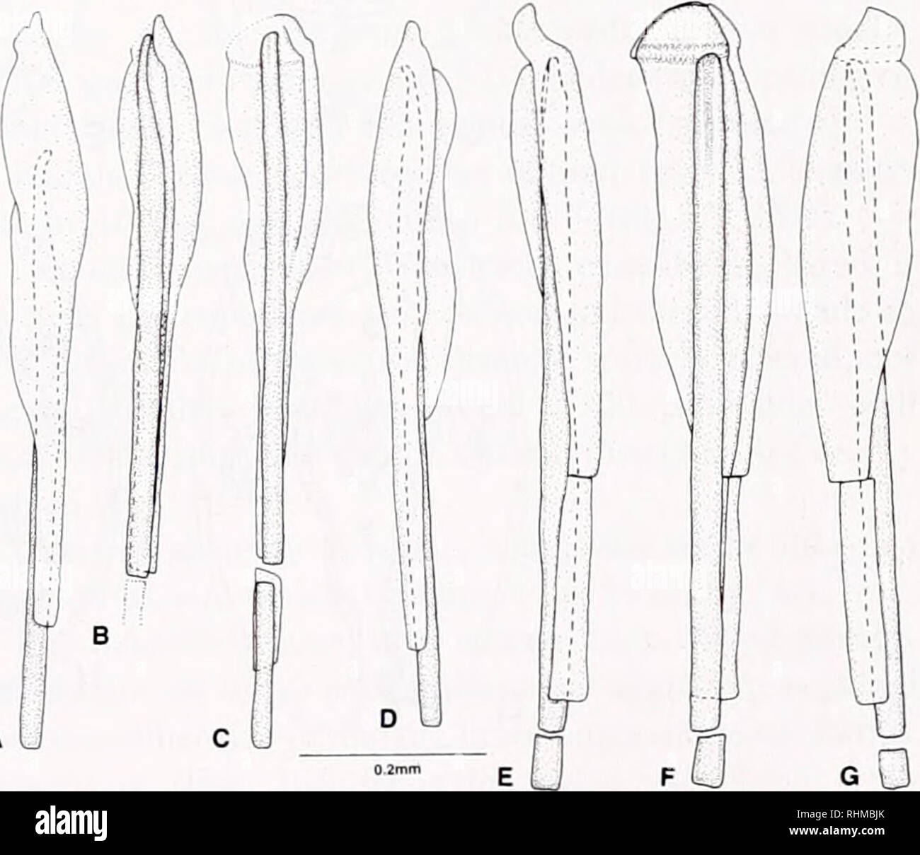 . The Biological bulletin. Biology; Zoology; Biology; Marine Biology ...