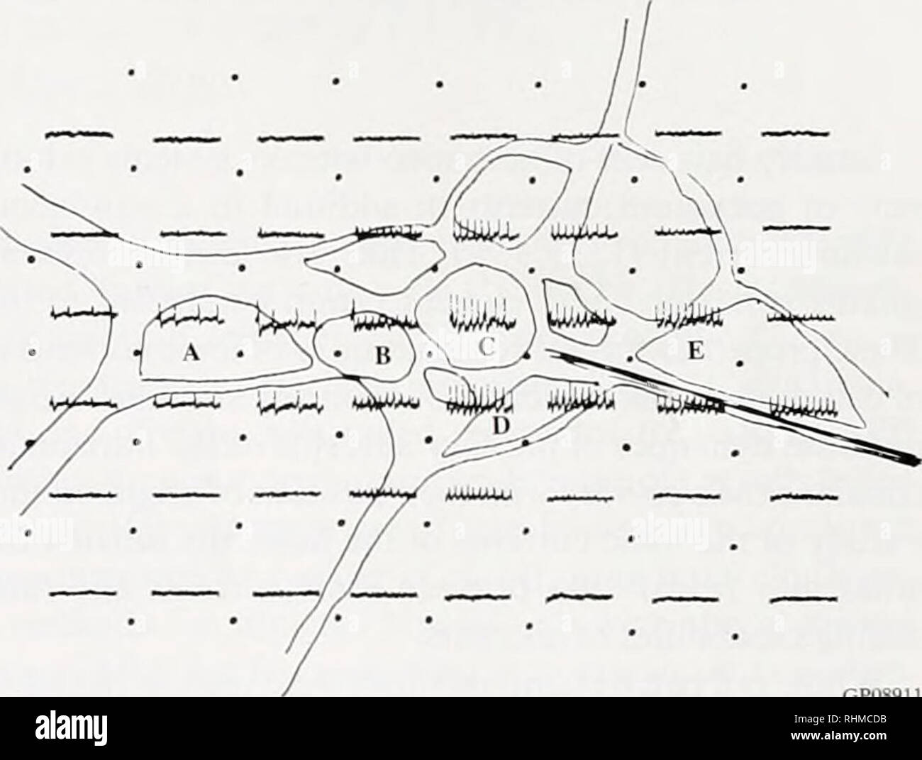Neurons confocal microscope hi-res stock photography and images - Alamy