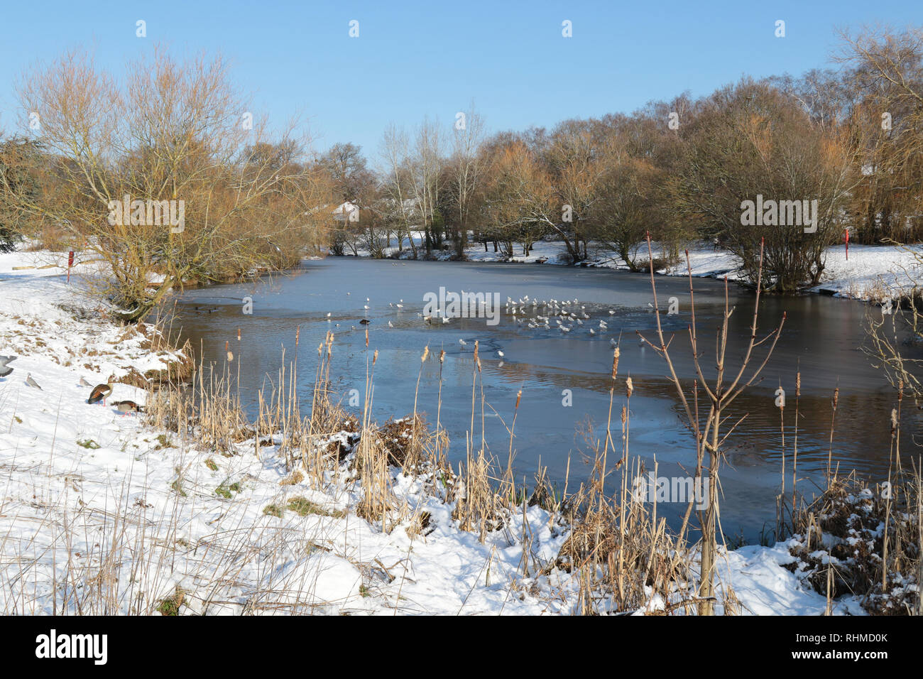 Bracknell Landscape High Resolution Stock Photography and Images - Alamy