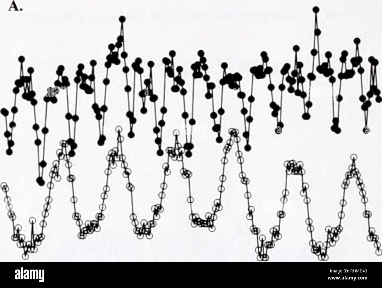 Polyp phase hi-res stock photography and images - Alamy