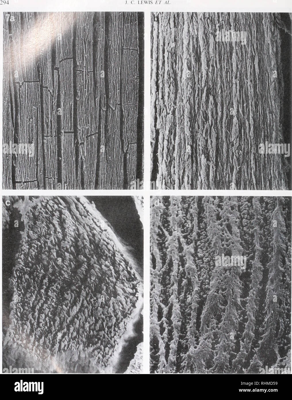 . The Biological bulletin. Biology; Zoology; Biology; Marine Biology ...