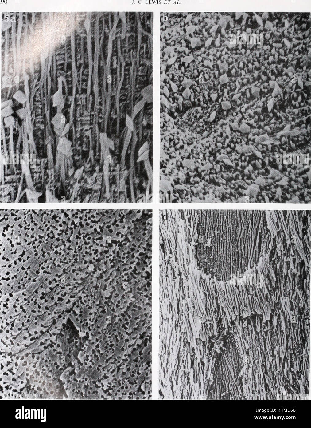 Dig fracture hi-res stock photography and images - Alamy