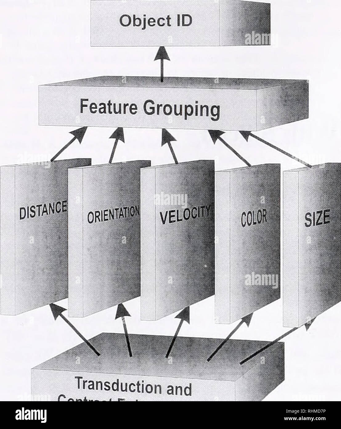. The Biological bulletin. Biology; Zoology; Biology; Marine Biology ...