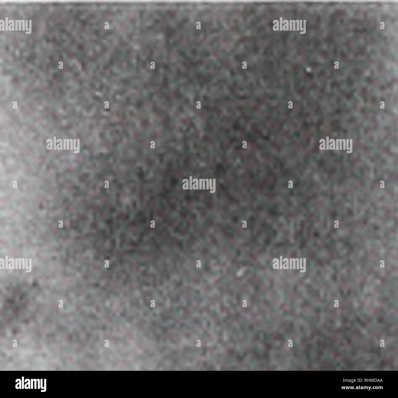 . The Biological bulletin. Biology; Zoology; Biology; Marine Biology ...