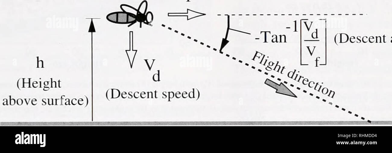 . The Biological bulletin. Biology; Zoology; Biology; Marine Biology ...