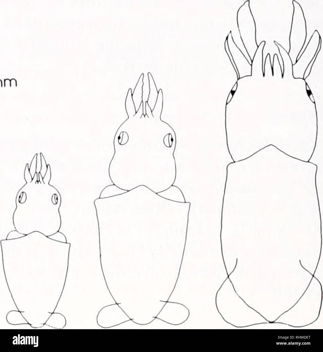 Attached to the substrate hi-res stock photography and images - Alamy