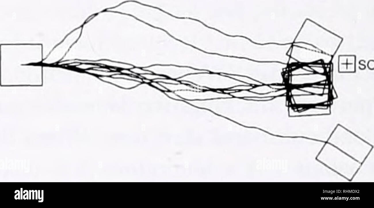 Optomotor hi-res stock photography and images - Alamy