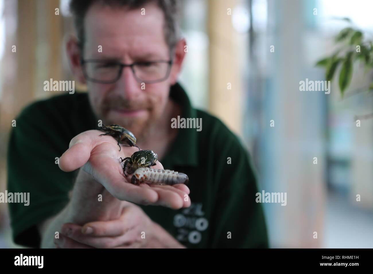 Keepers at ZSL London Zoo carry out the annual stocktake of animals ...