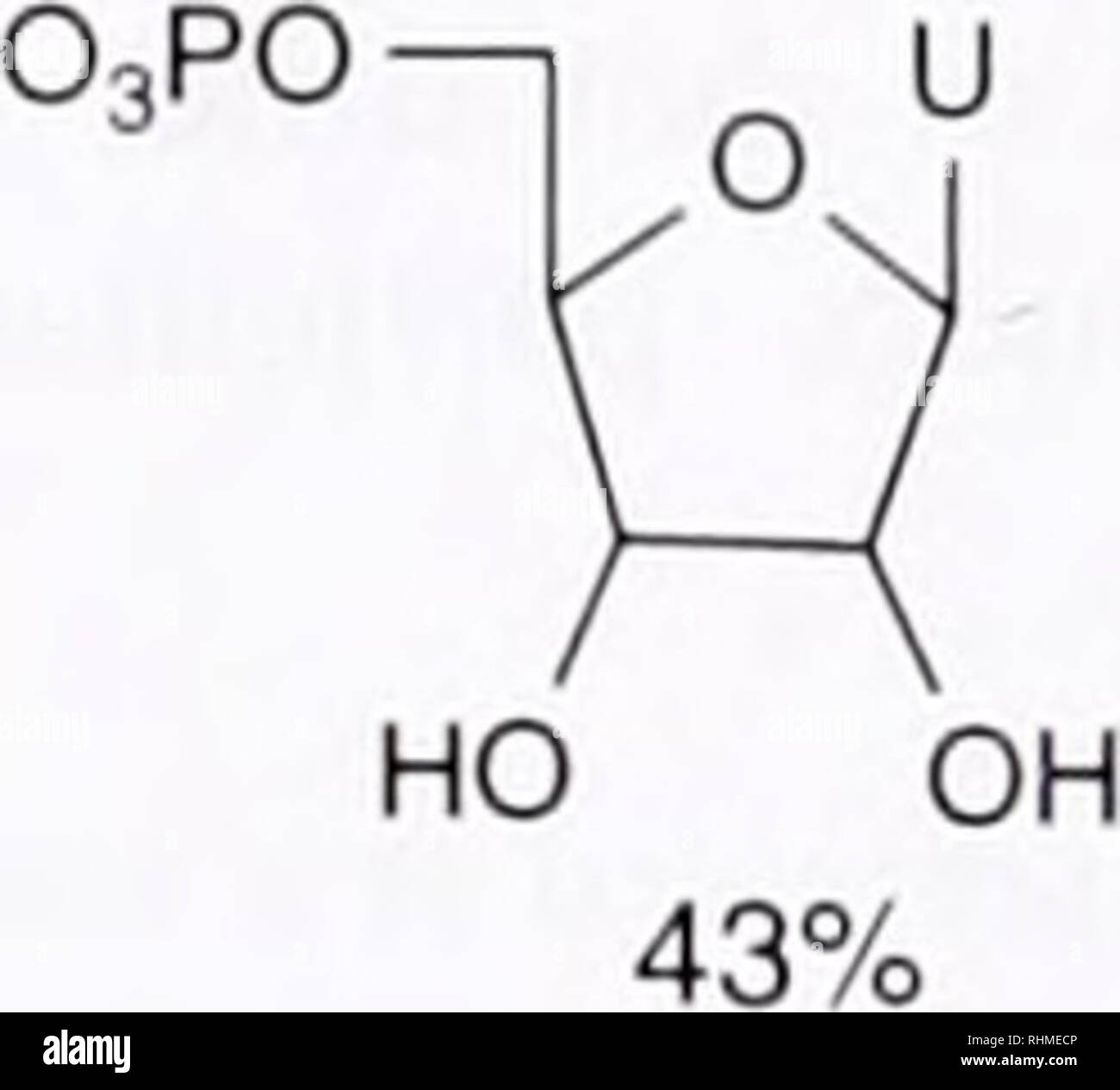 . The Biological bulletin. Biology; Zoology; Biology; Marine Biology ...