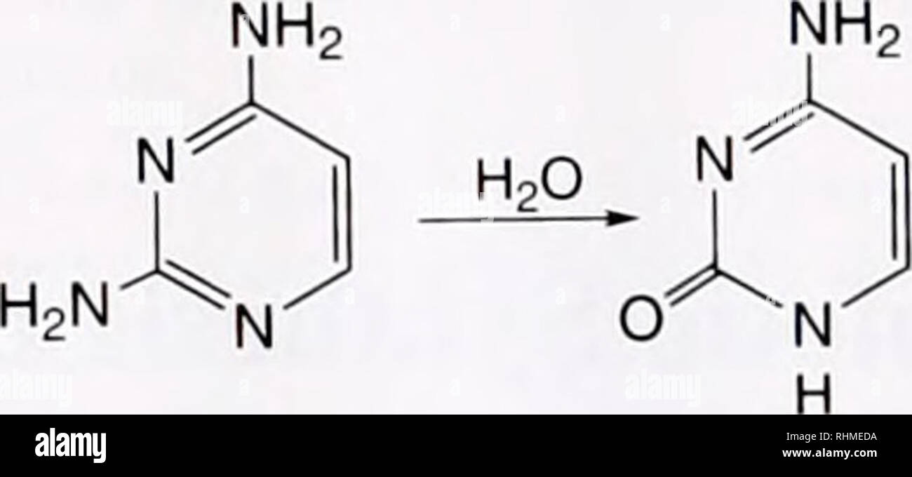 . The Biological bulletin. Biology; Zoology; Biology; Marine Biology ...
