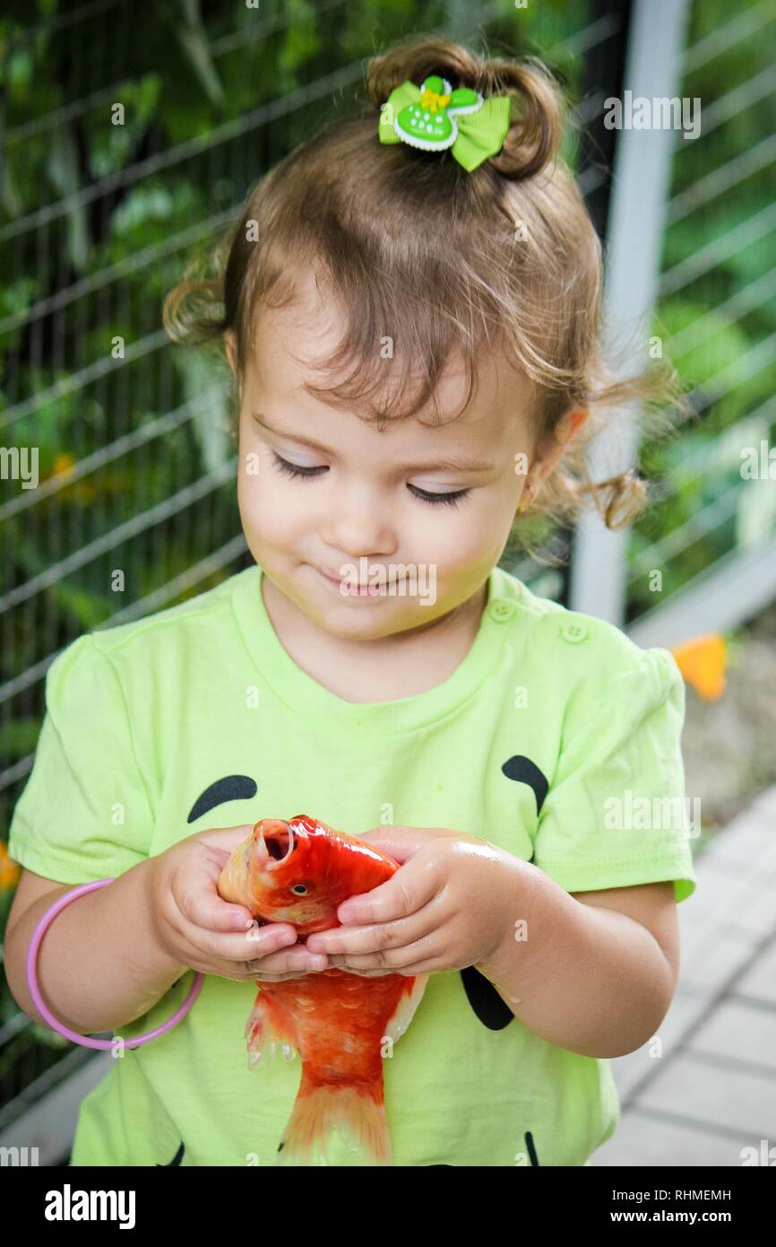 Cat fishing goldfish hi-res stock photography and images - Alamy