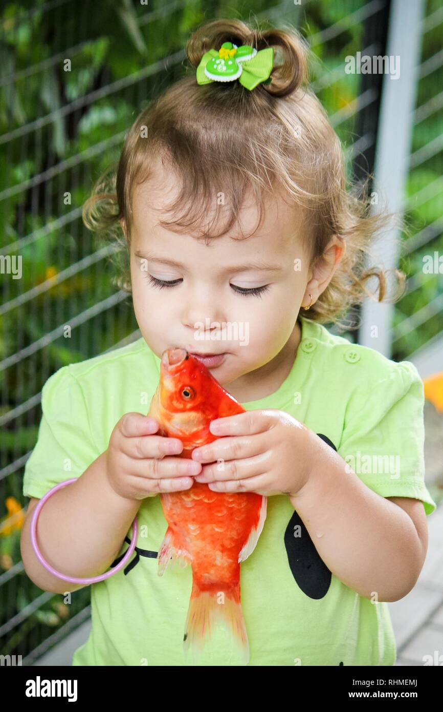 Cat fishing goldfish hi-res stock photography and images - Alamy