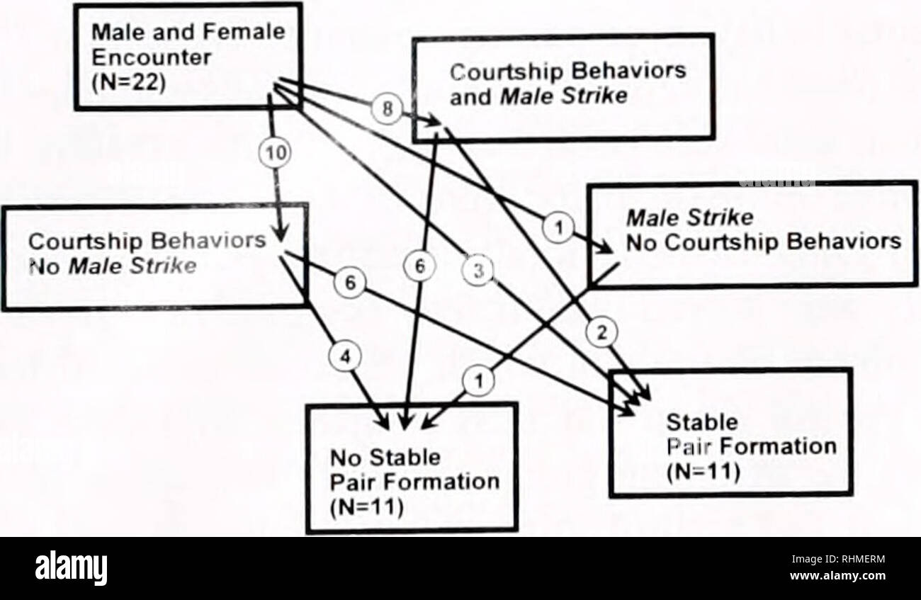 . The Biological bulletin. Biology; Zoology; Biology; Marine Biology ...