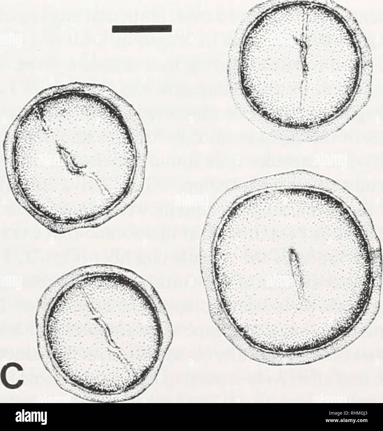 . The Biological bulletin. Biology; Zoology; Biology; Marine Biology ...
