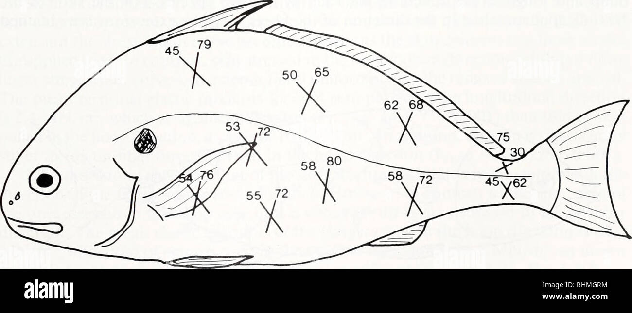 . The Biological bulletin. Biology; Zoology; Biology; Marine Biology ...