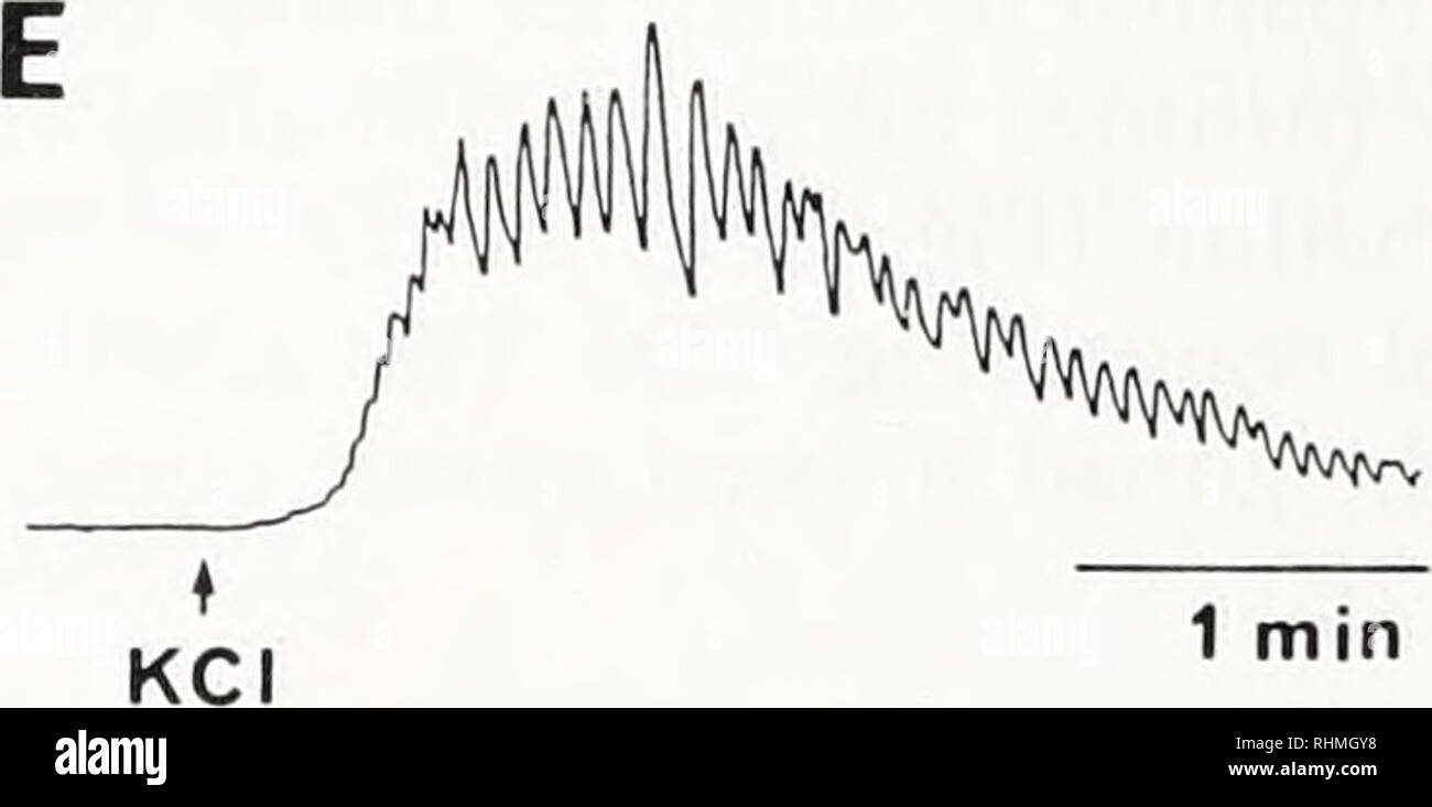 . The Biological bulletin. Biology; Zoology; Biology; Marine Biology. 1 ...