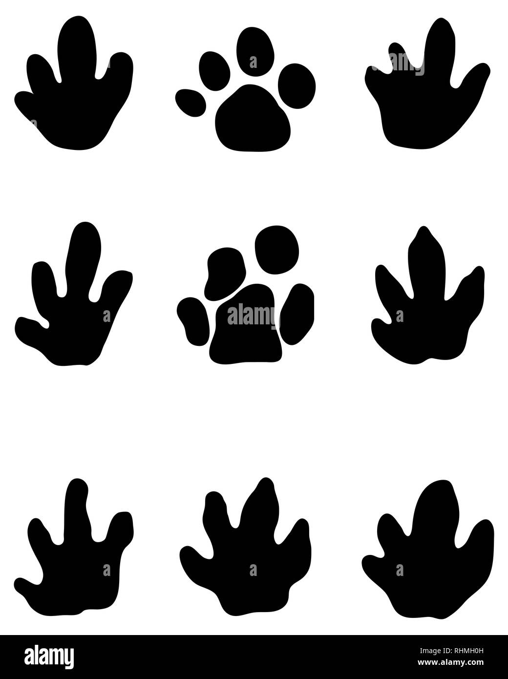 Tapir footprint Black and White Stock Photos & Images - Alamy