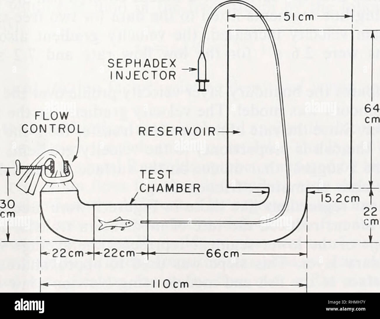 . The Biological bulletin. Biology; Zoology; Biology; Marine Biology ...