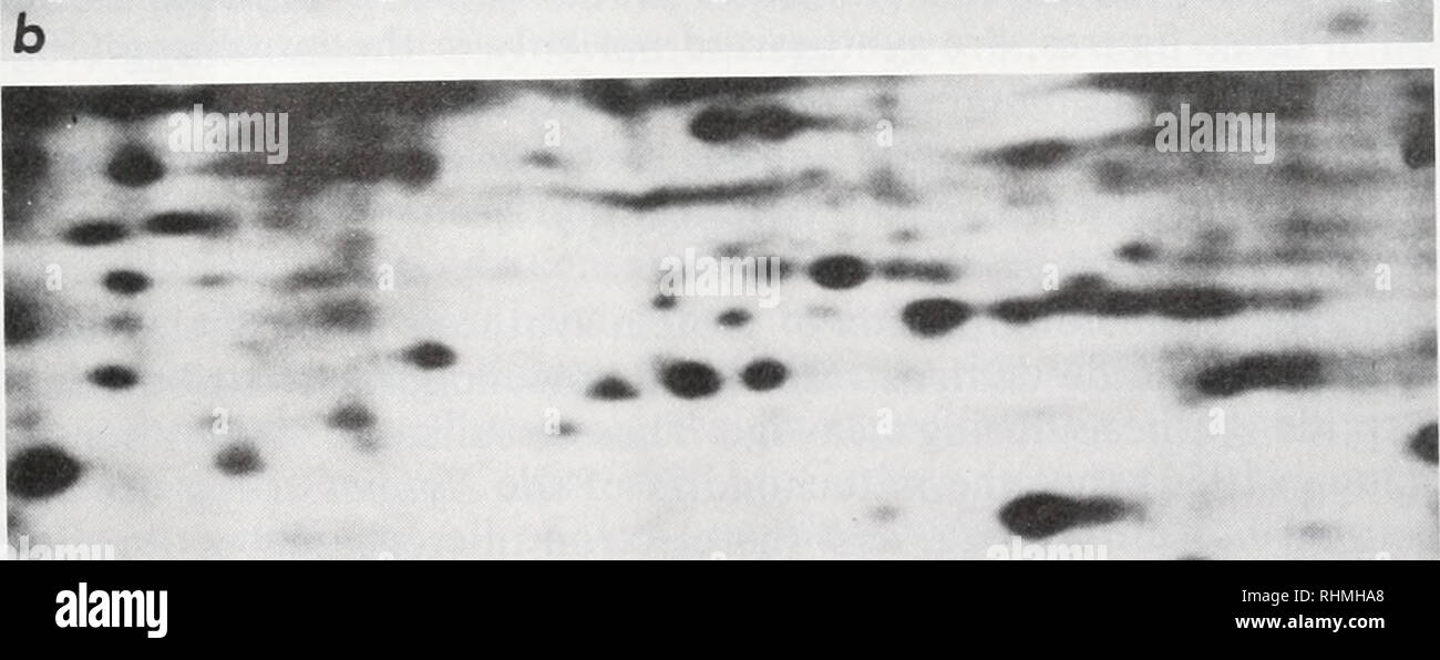 . The Biological bulletin. Biology; Zoology; Biology; Marine Biology ...