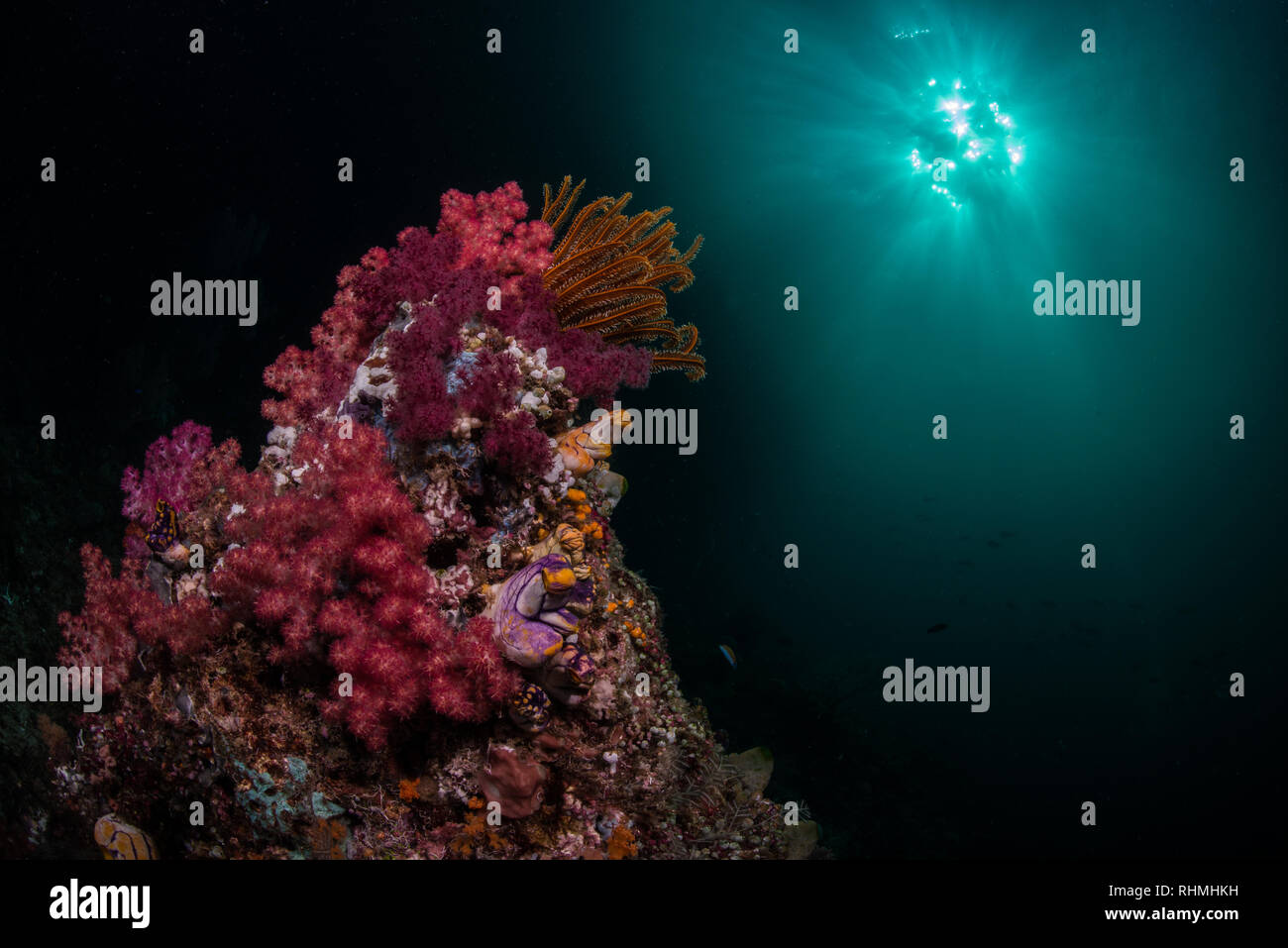 Underwater playground hi-res stock photography and images - Alamy