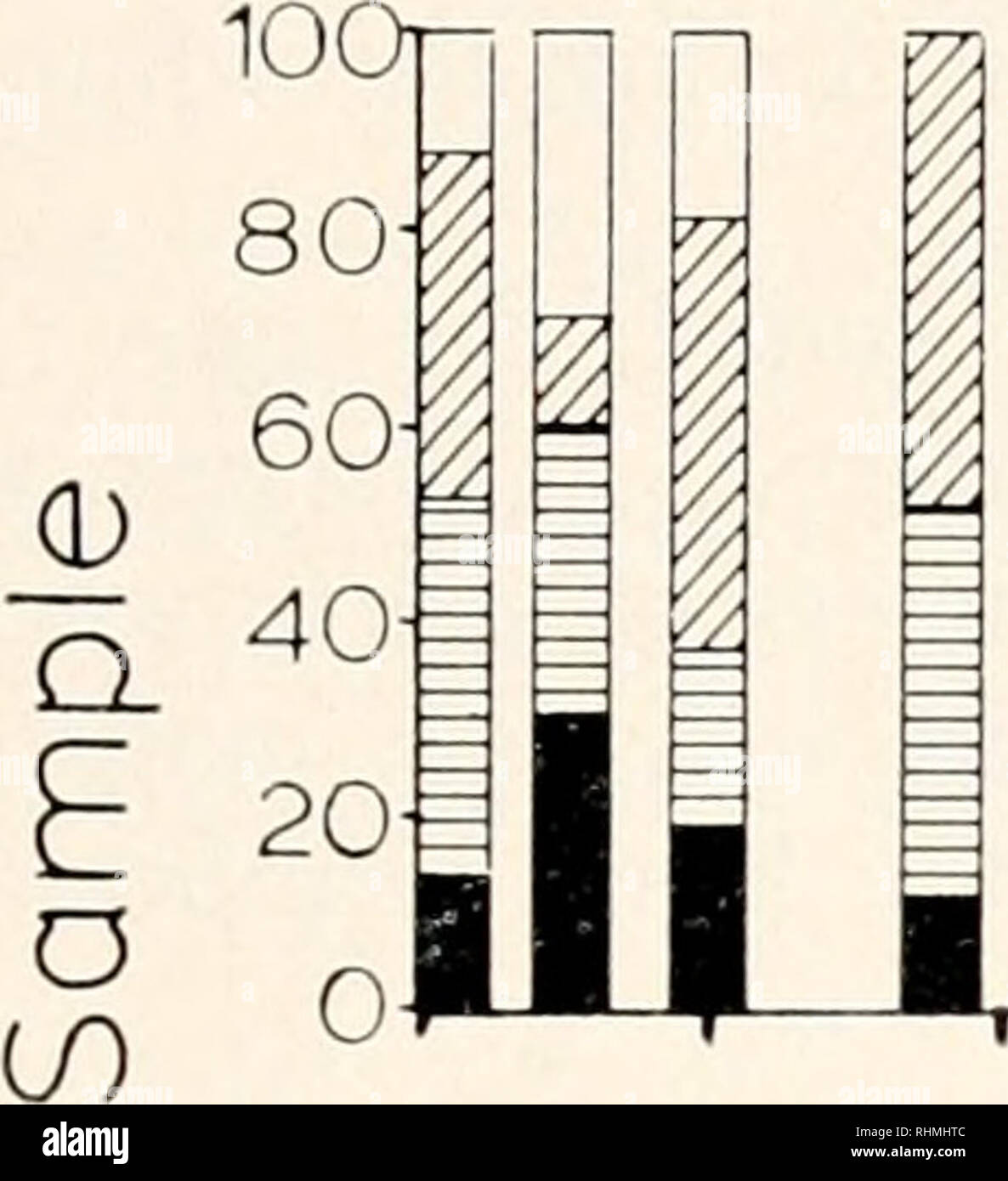 Late primary follicle hi-res stock photography and images - Alamy