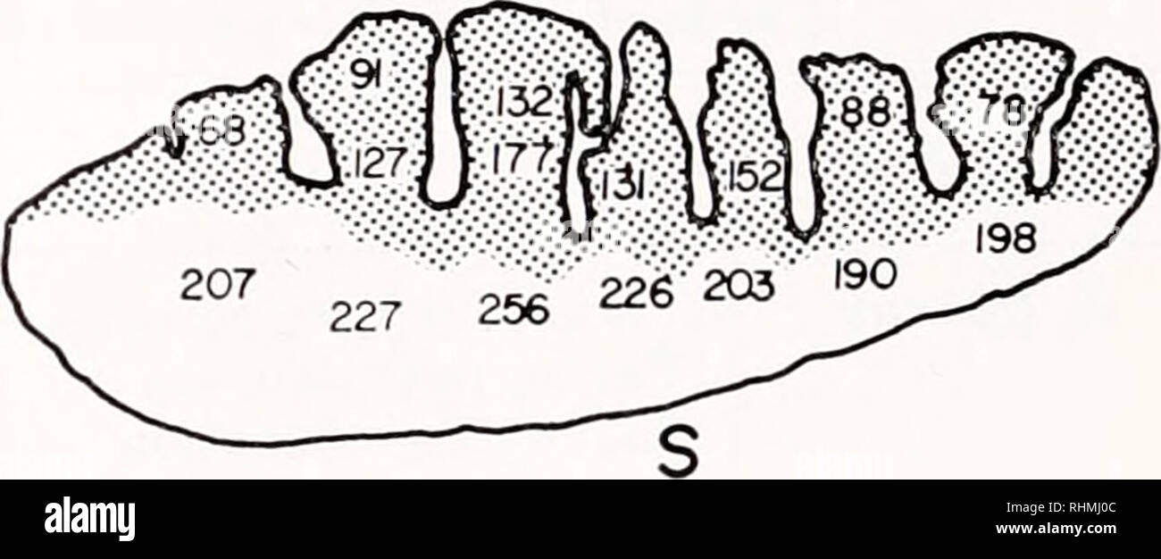 . The Biological bulletin. Biology; Zoology; Biology; Marine Biology ...