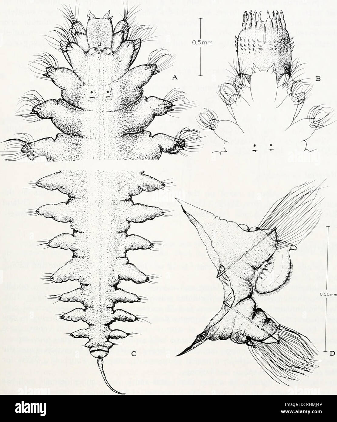 . The Biological bulletin. Biology; Zoology; Biology; Marine Biology ...
