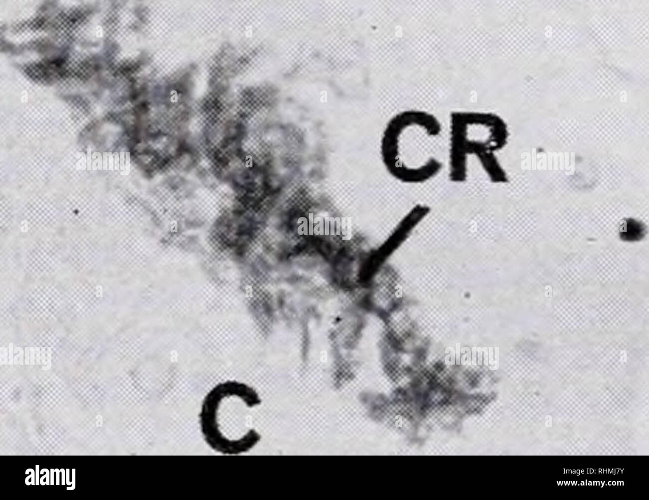 Azan stain hi-res stock photography and images - Alamy