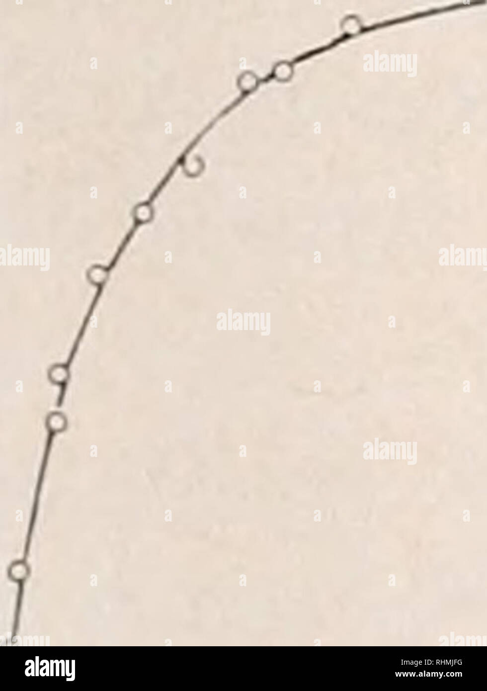 . The Biological bulletin. Biology; Zoology; Biology; Marine Biology ...