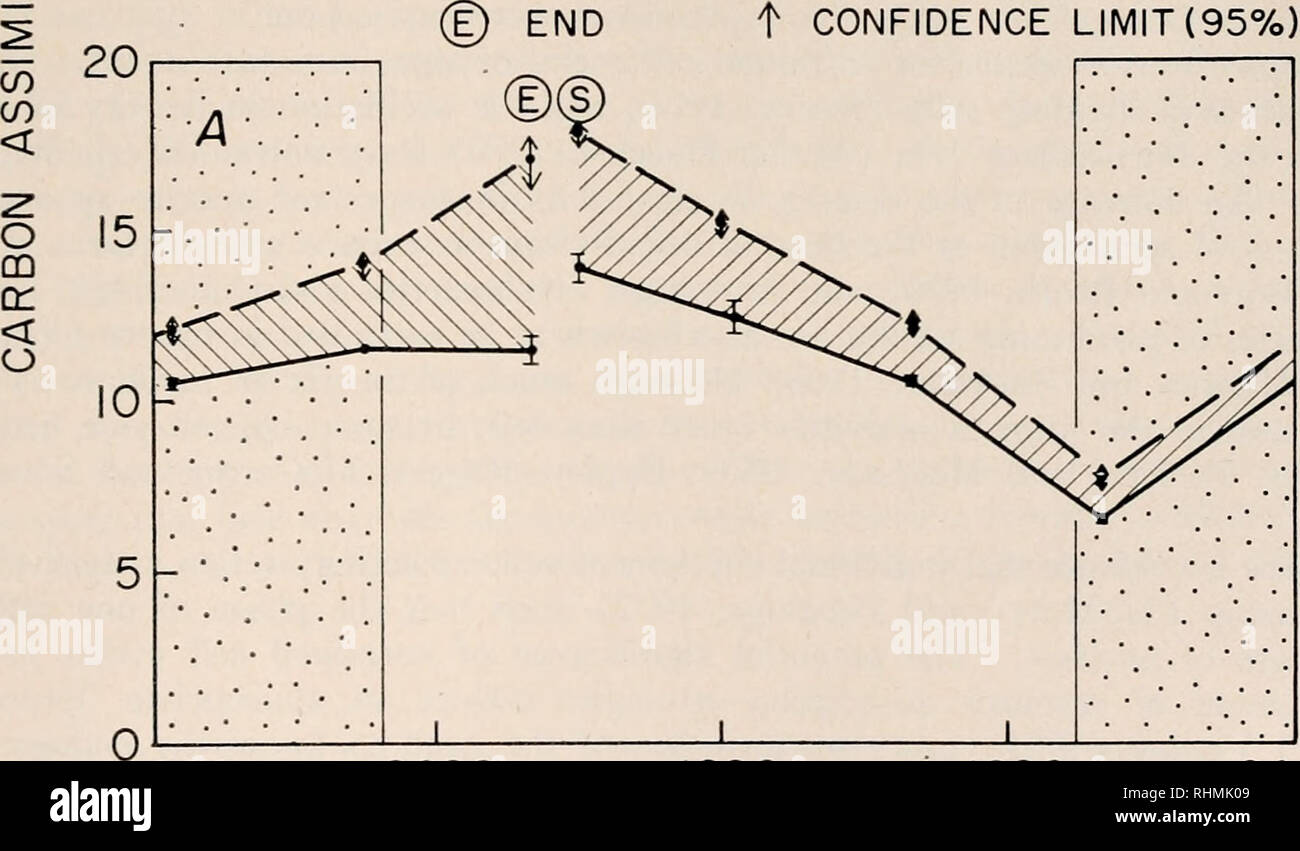 Planktonic algae hi-res stock photography and images - Alamy