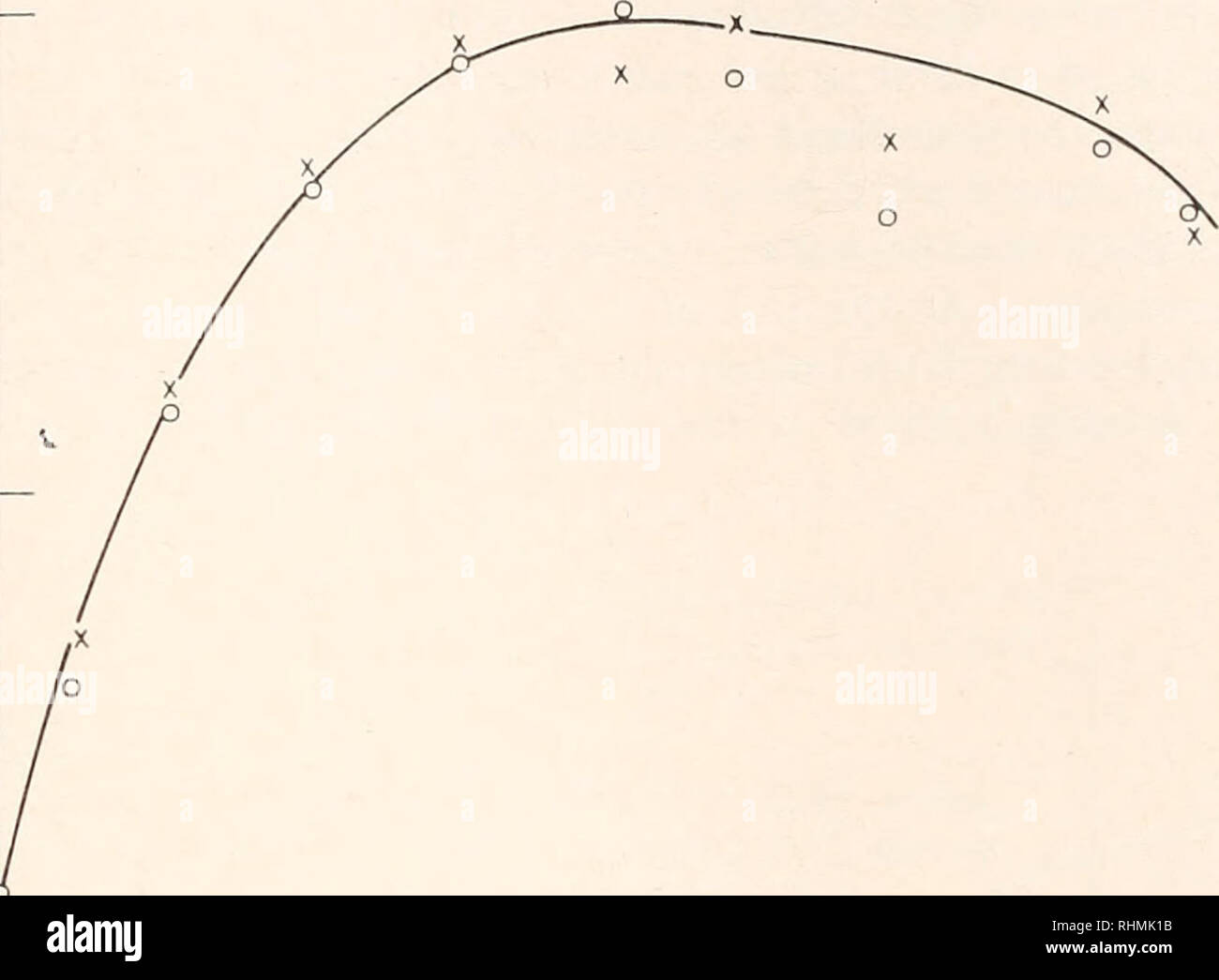 Skeletonema costatum algae hi-res stock photography and images - Alamy