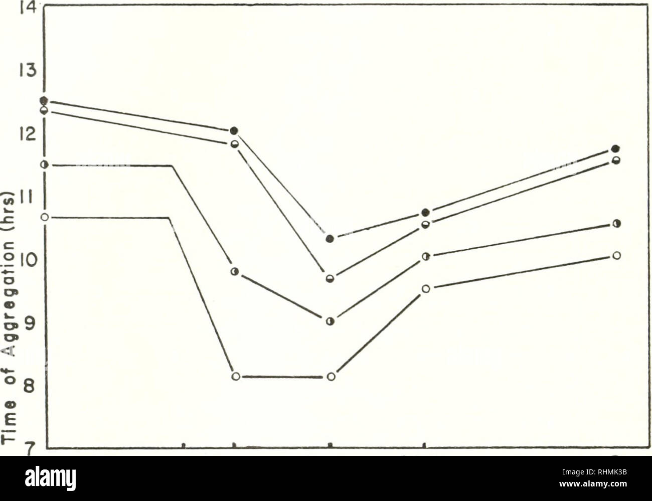 Myxamoebae hi-res stock photography and images - Alamy