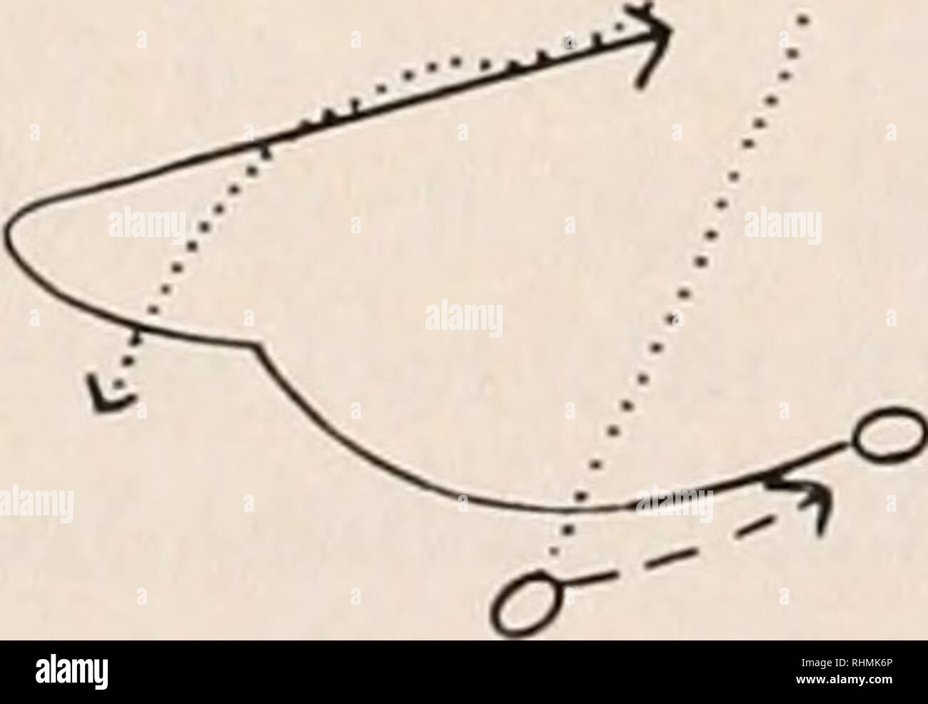 Different paths end hi-res stock photography and images - Alamy