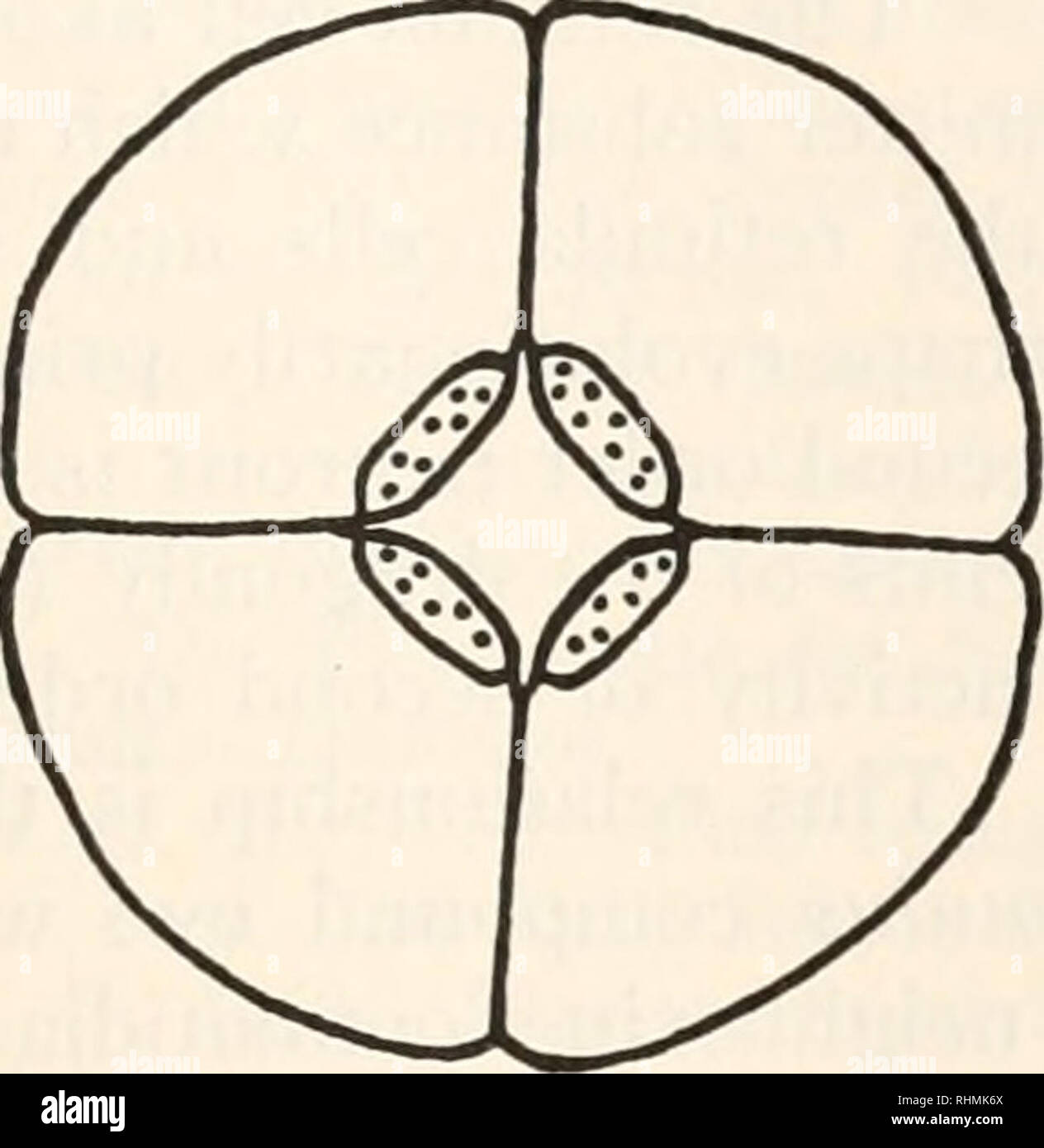 . The Biological bulletin. Biology; Zoology; Biology; Marine Biology ...