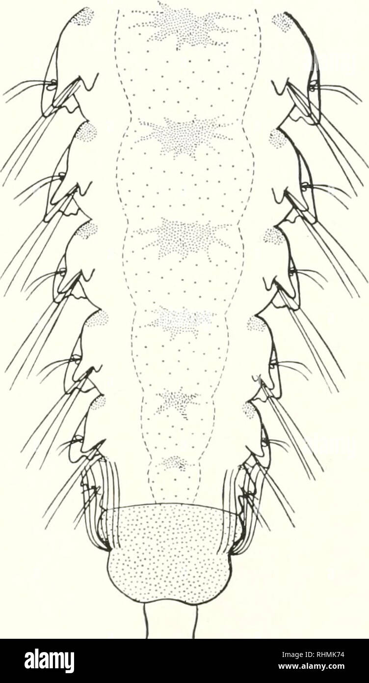 . The Biological bulletin. Biology; Zoology; Biology; Marine Biology ...