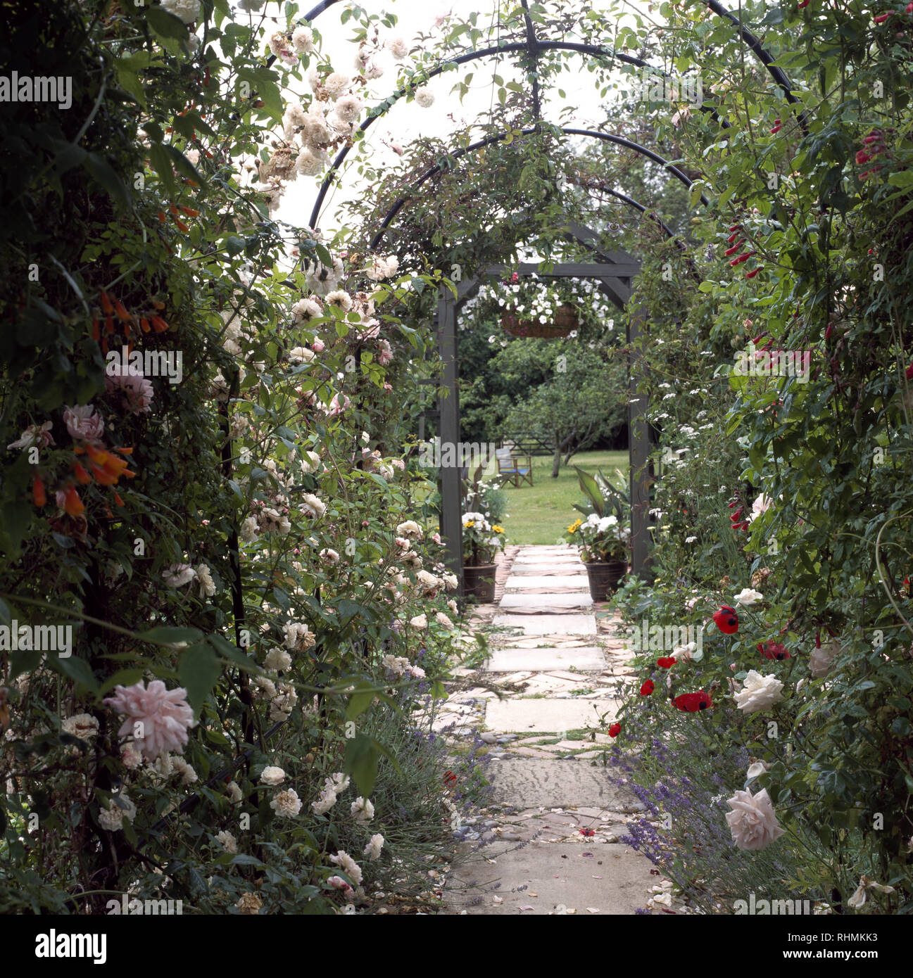 Pink climbing roses on stone hi-res stock photography and images - Alamy