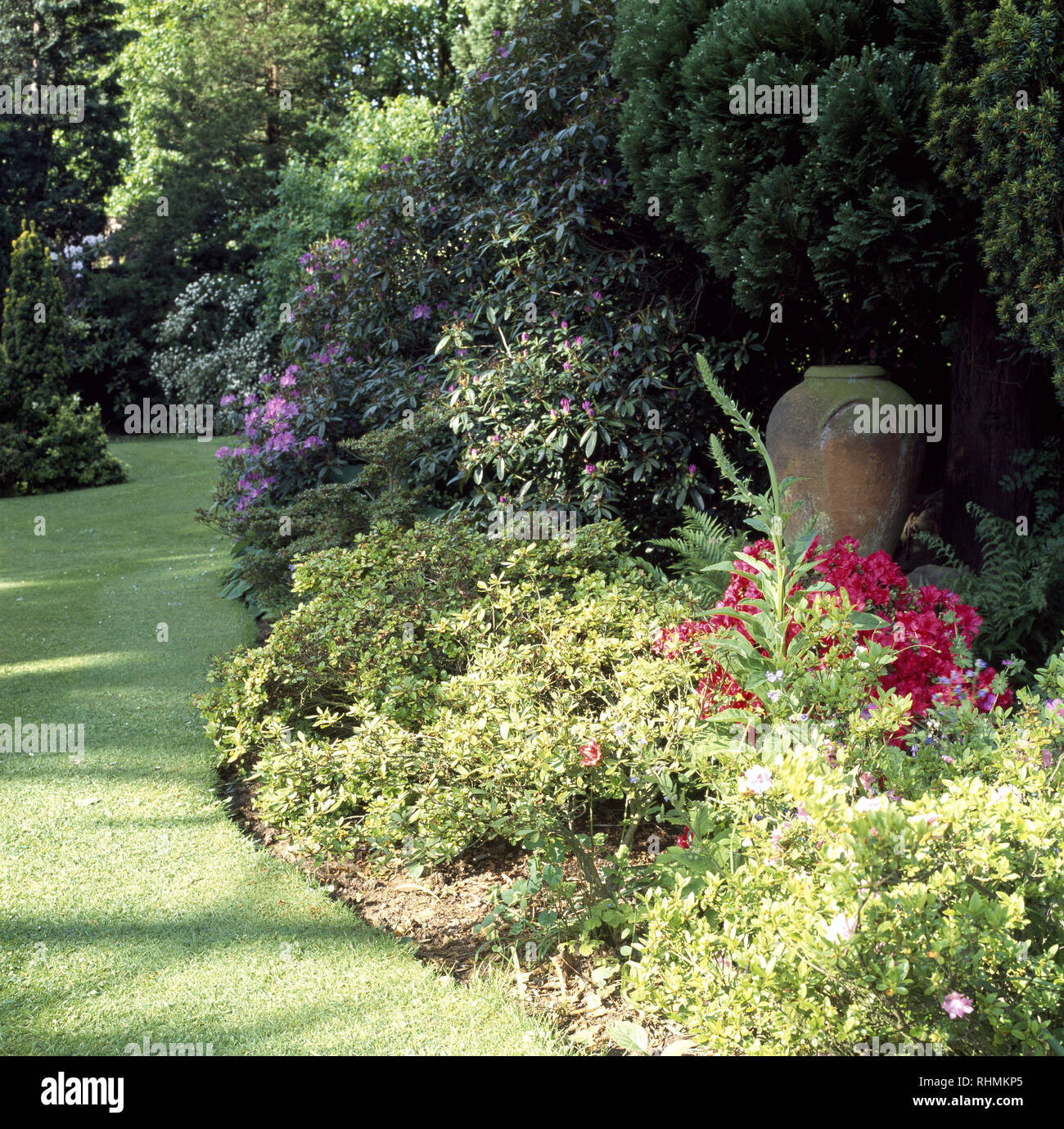 Rhododendrons border hi-res stock photography and images - Alamy