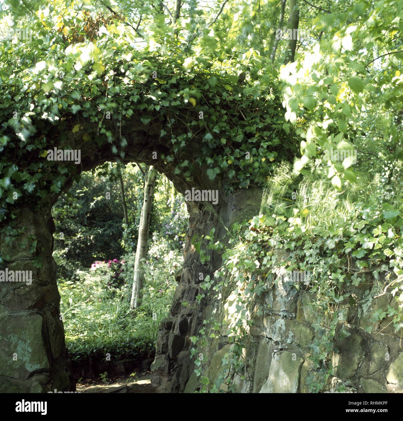Ivy uk arch hi-res stock photography and images - Alamy
