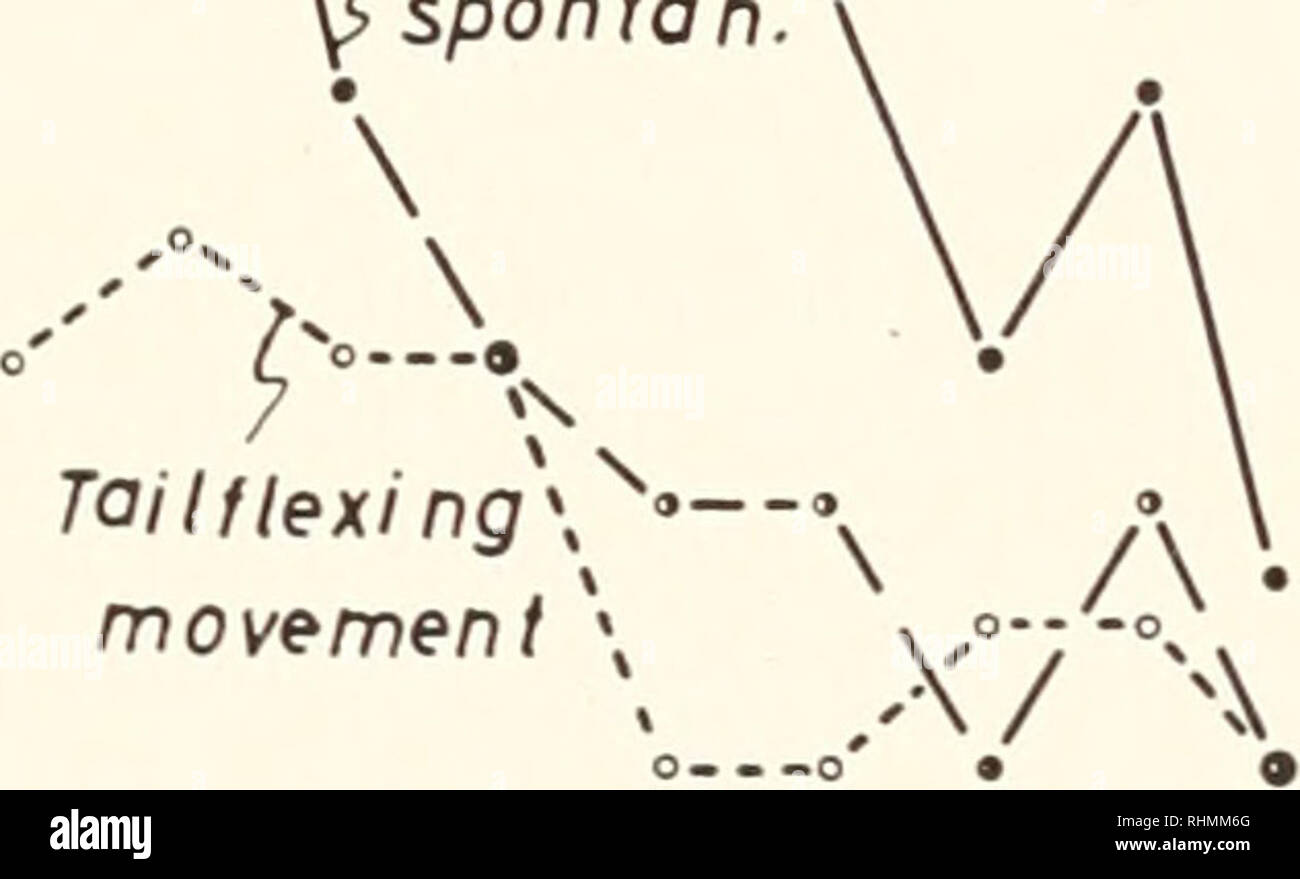 . The Biological bulletin. Biology; Zoology; Biology; Marine Biology ...